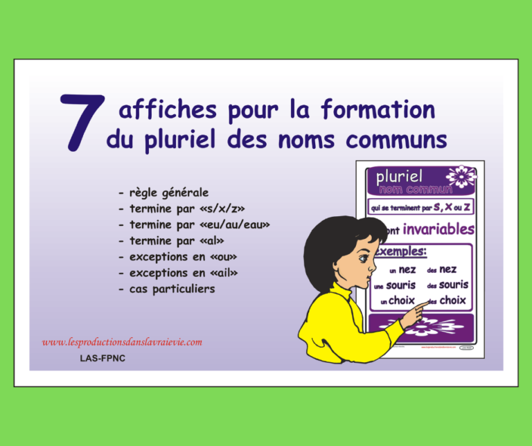 Ensemble 7 affiches Le pluriel des noms communs (téléchargeable ...